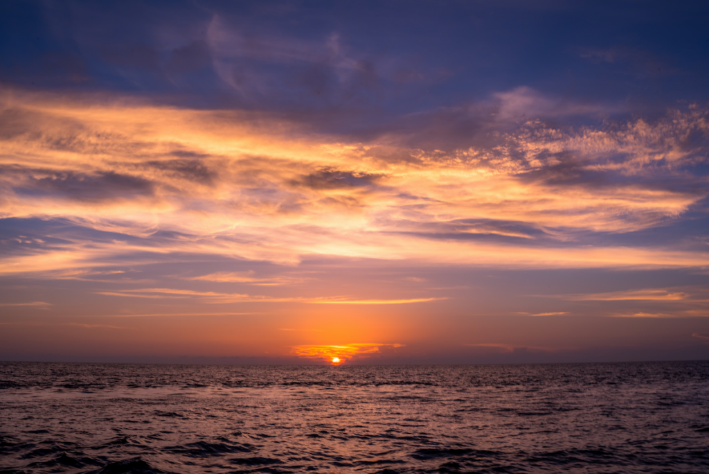 The 17 Best Spots to See the Sunset in Tampa, Ranked