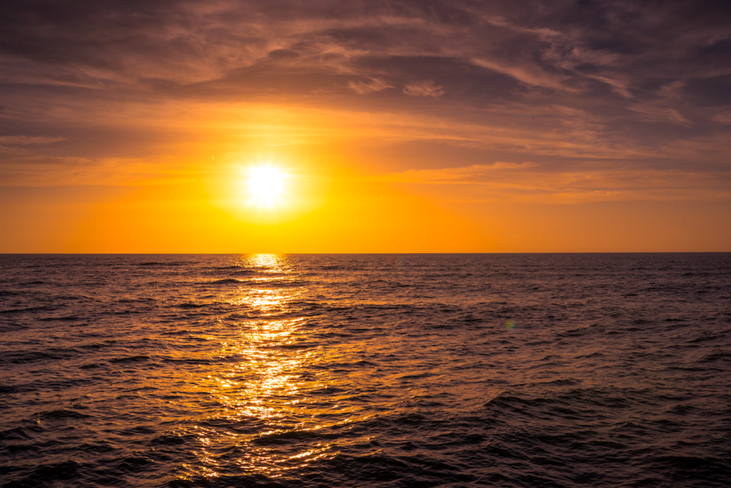 The 17 Best Spots to See the Sunset in Tampa, Ranked