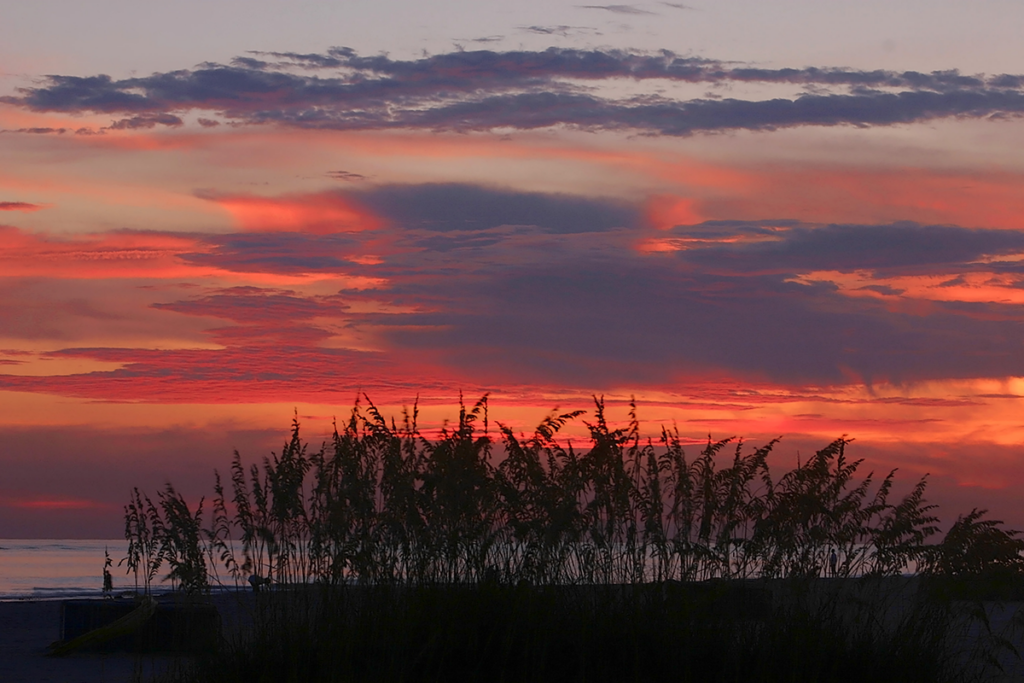 The 17 Best Spots to See the Sunset in Tampa, Ranked